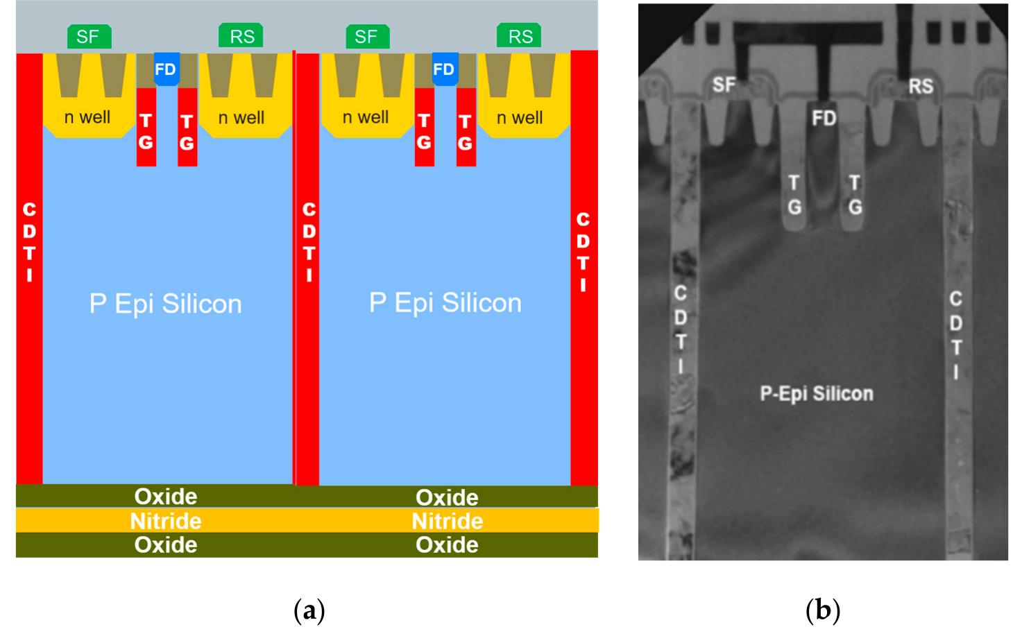 (a) pixel structure integrating vertical ppg, vertical tg,
