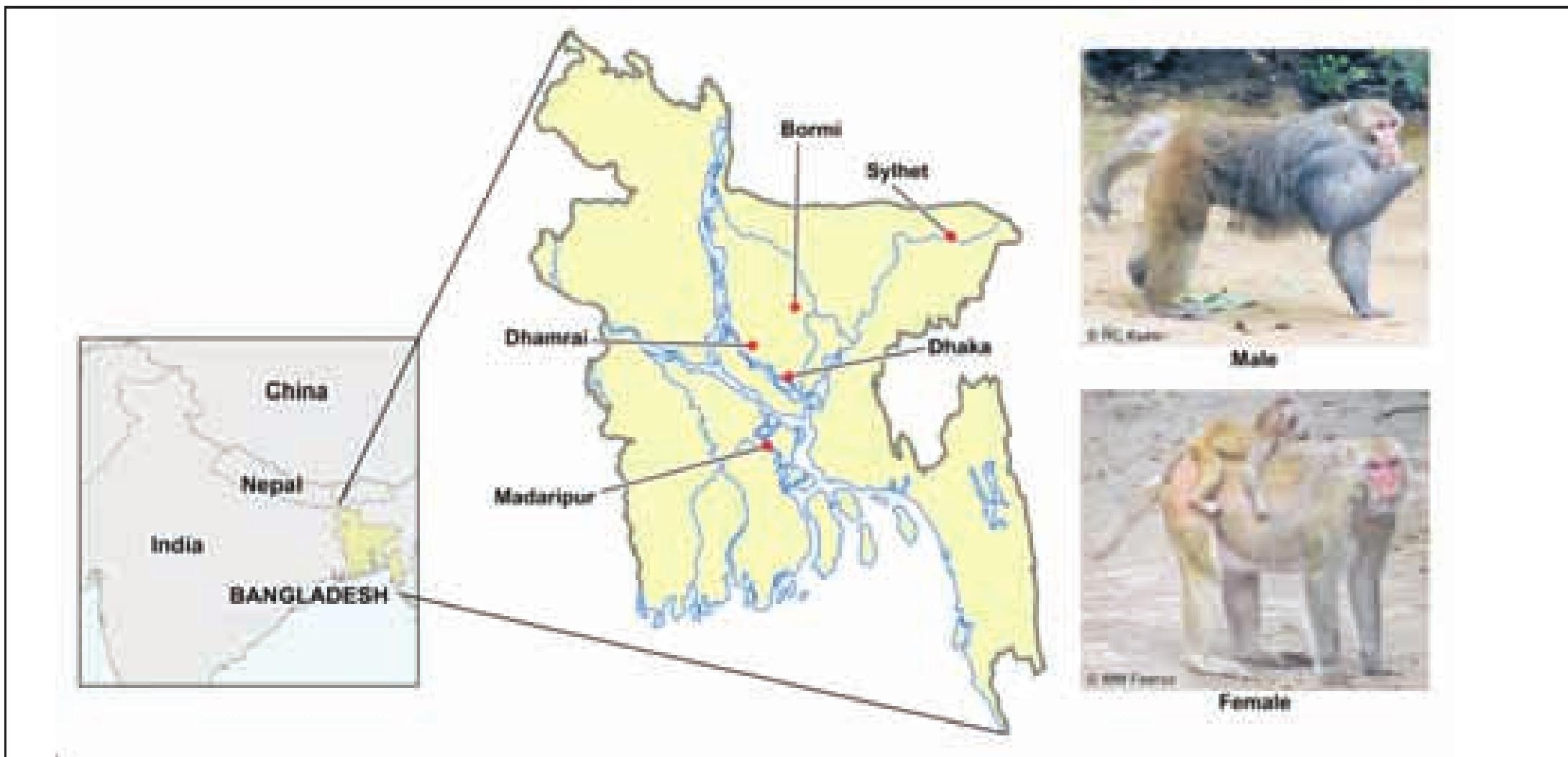 Map of bangladesh showing the locations of the populations