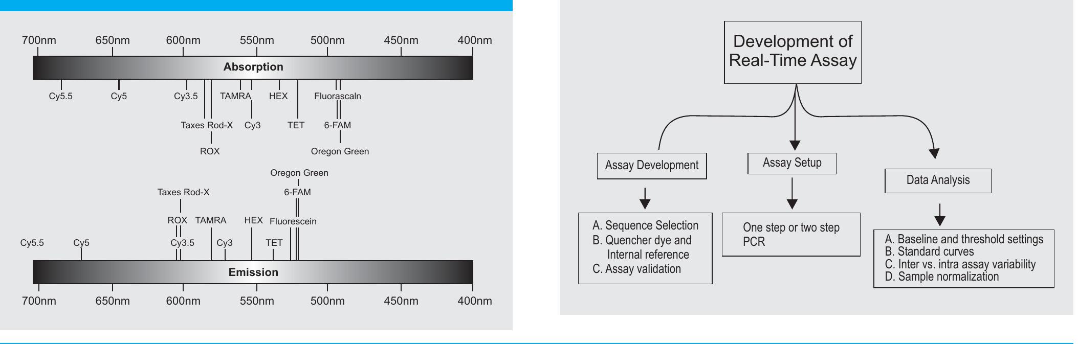 Professional med j nov-dec 2012;19(6): 751-759