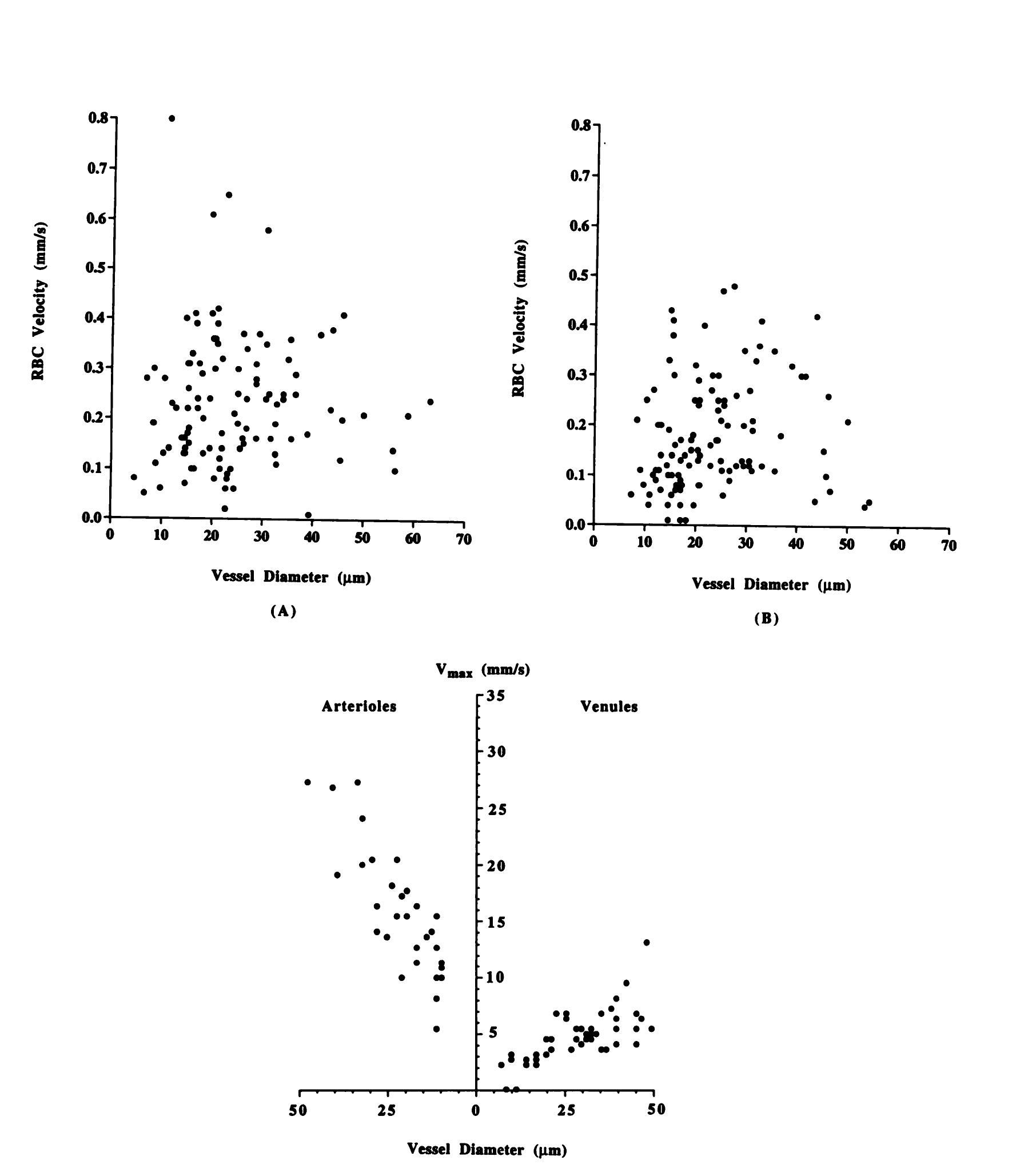 A, rbc velocities in surface vessels of mcaiv in c3h mice (n