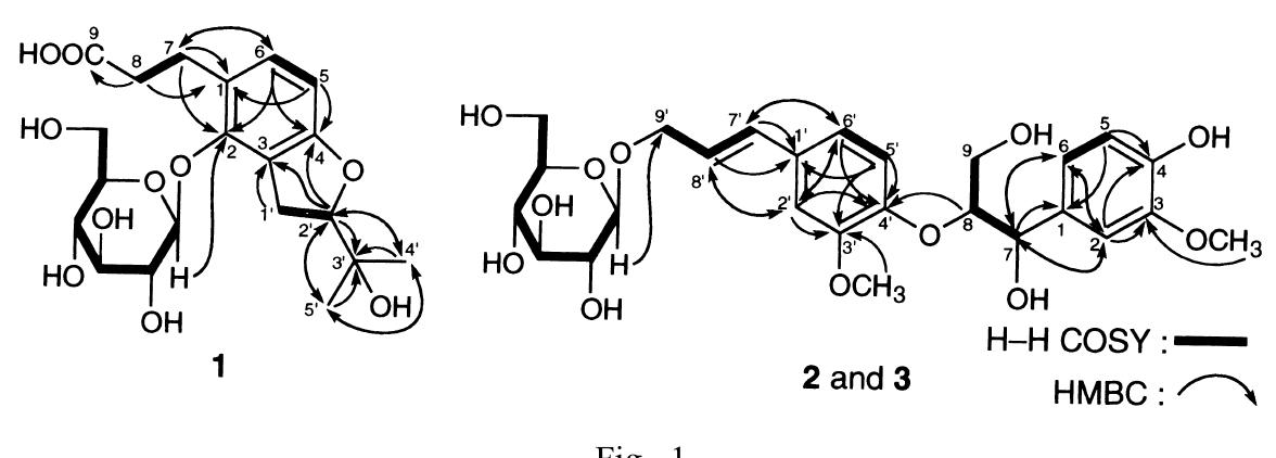 Structure of 1 was constructed on the basis of the 'h—'h