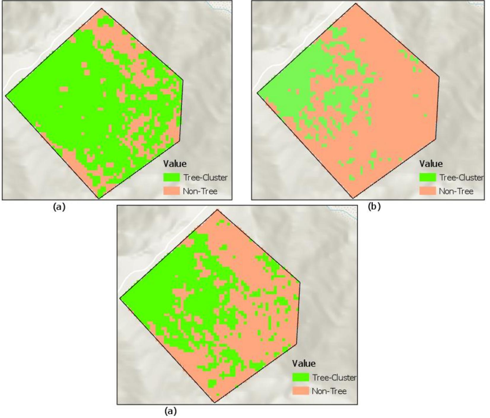 Figure 11 - Identifying Oak Tree Mortality Using Image