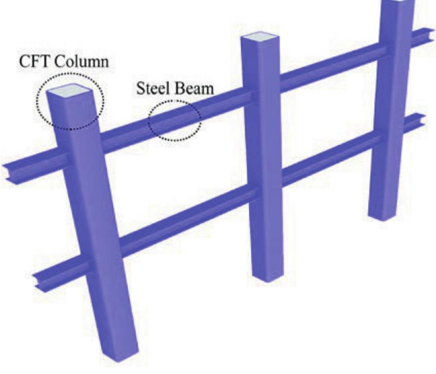 Schematic illustration of the cft-frame structure. perea et