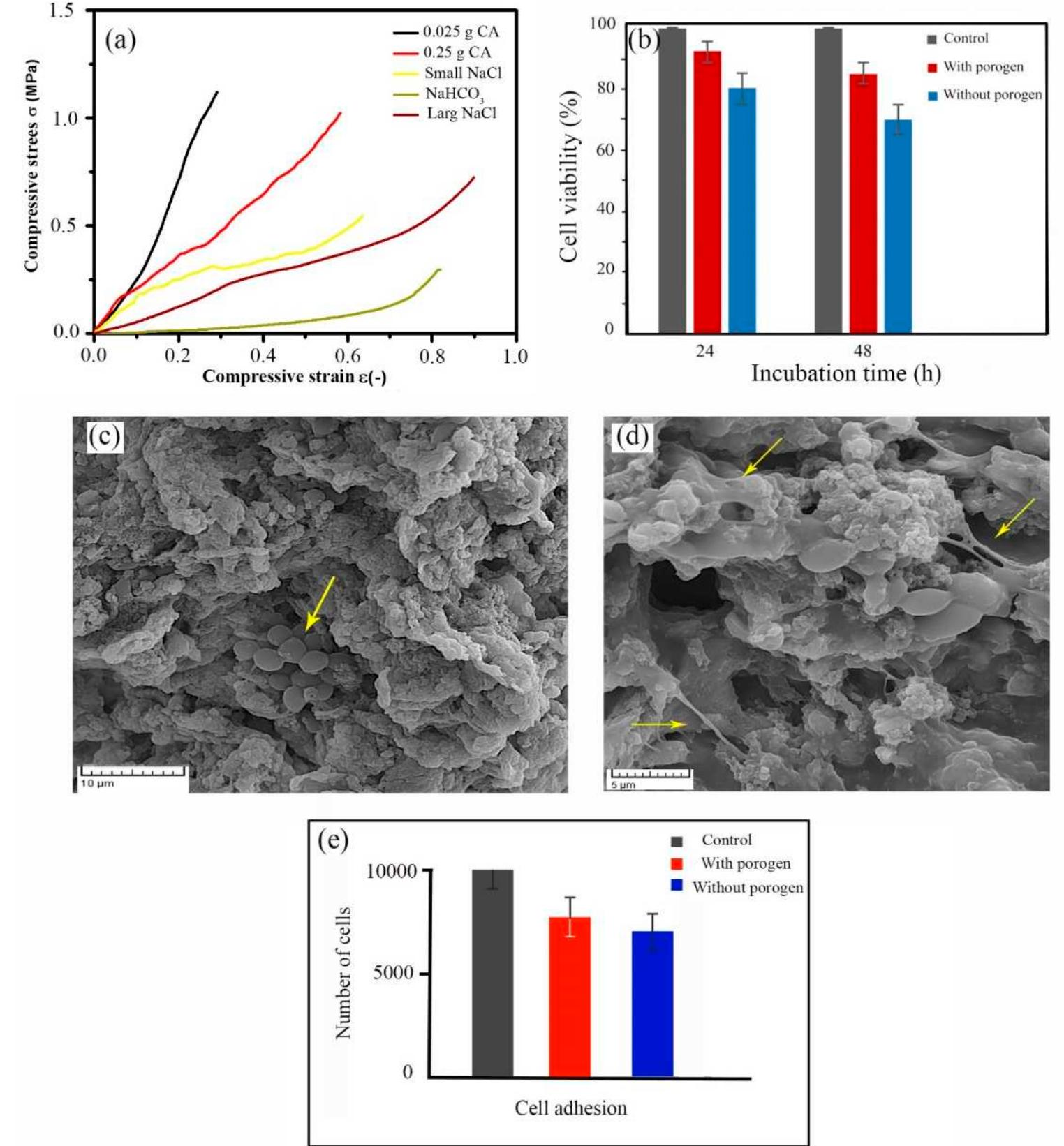 (a) compressive stress-strain curves of ha/gel/cmc scaffolds