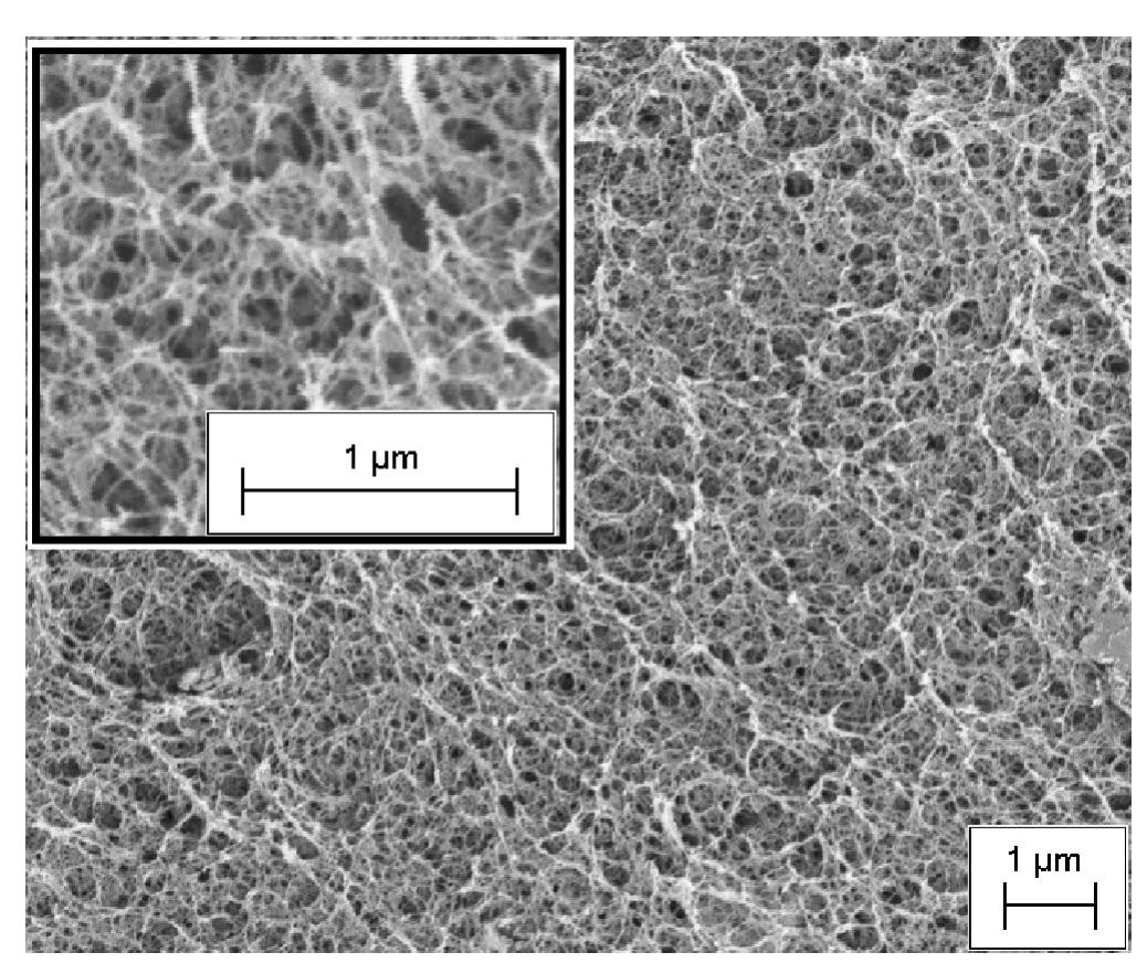 Sem structure of alginate-lignin aerogel (alginate/lignin