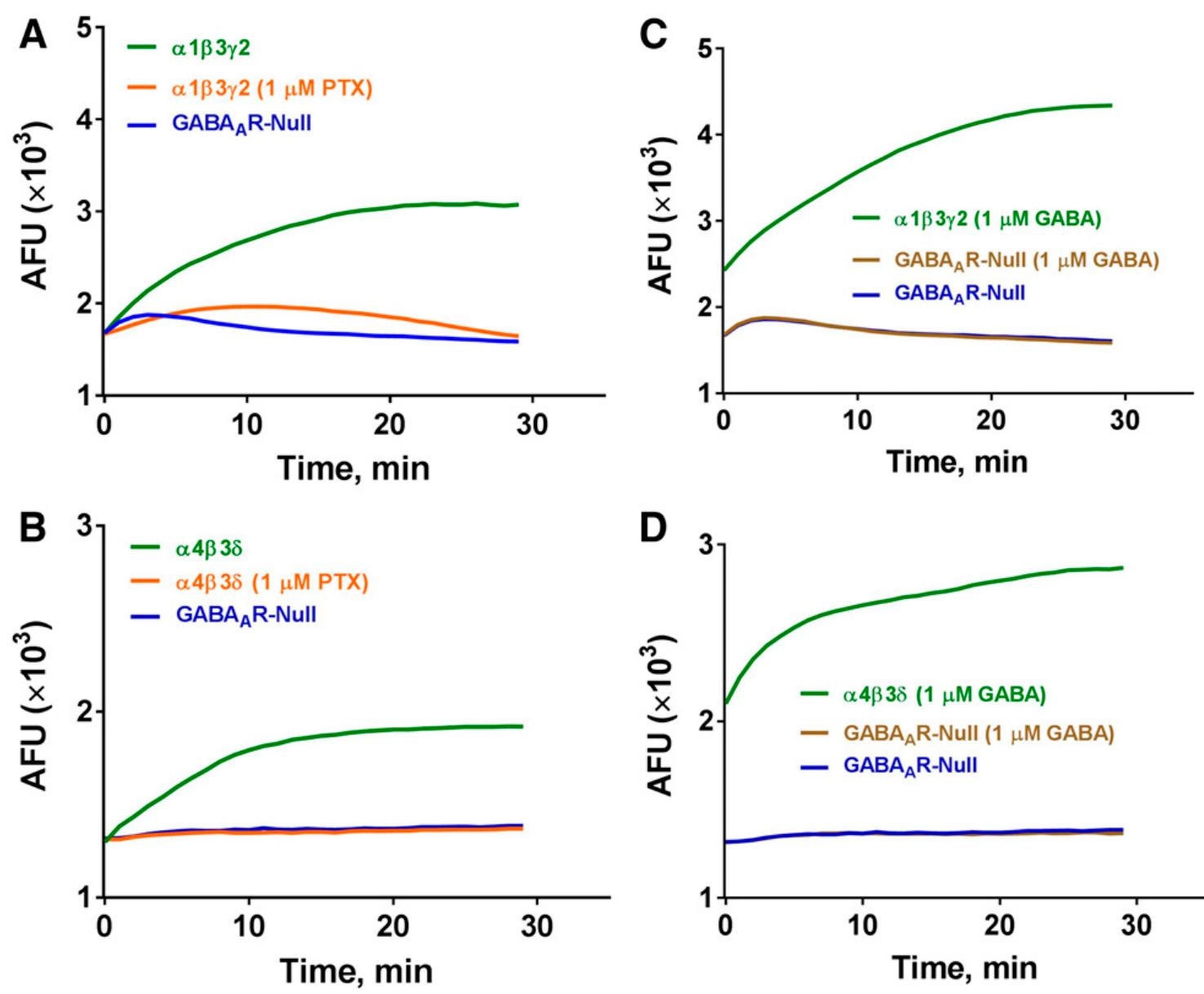 Transient expression of gabaar £3 homopentamers in hek 293