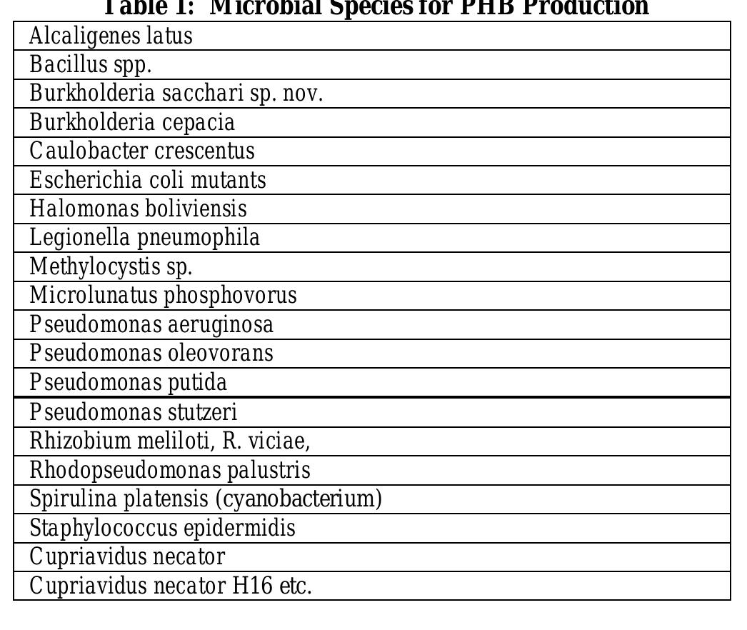 Primary confirmation of phb granules: