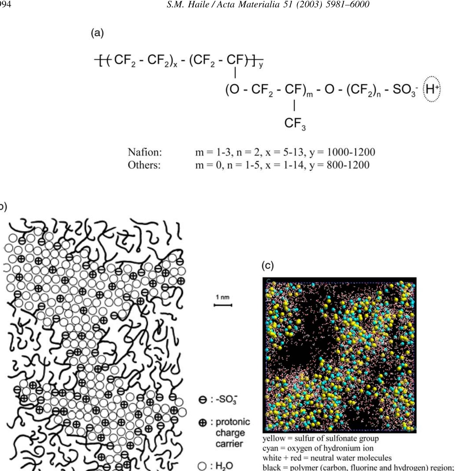 Structure of perfluorinated sulfonated polymers (i.e. nafion