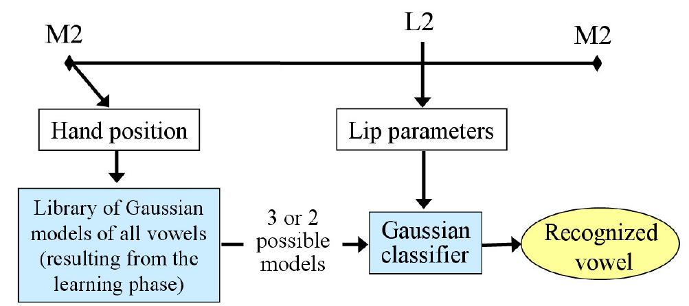 Fusion model for vowel recognition (after [14]).
