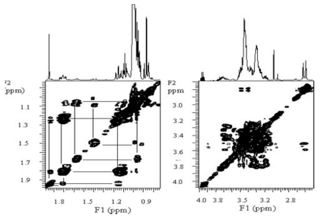 Expanded tocsy spectrum of the ipdi-ppg prepolymer.
