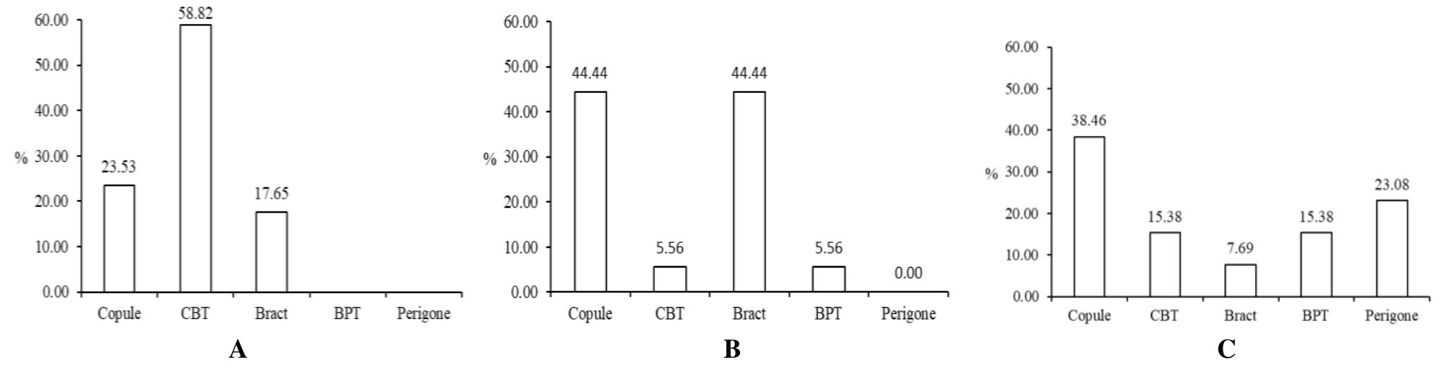 The population structure of rafflesia arnoldii according to