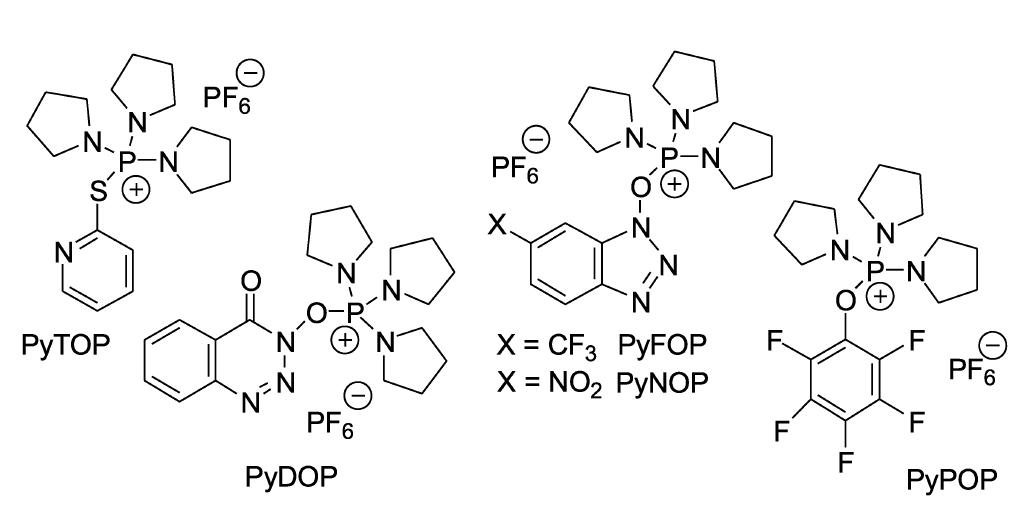 Nop, pybop, pynop, pybrop, pyclop, pyfop, pytop, pypop, and