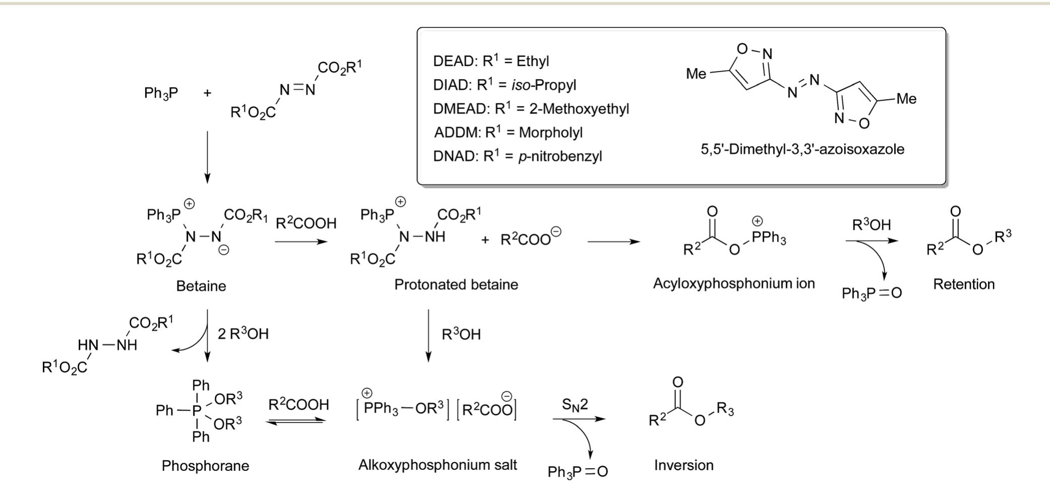 Mechanism of the mitsunobu esterification reaction and