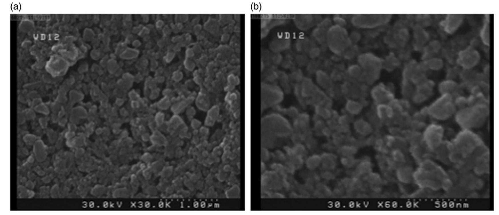 (a,b) fe-sem images of mil-100(fe) nanoparticles.