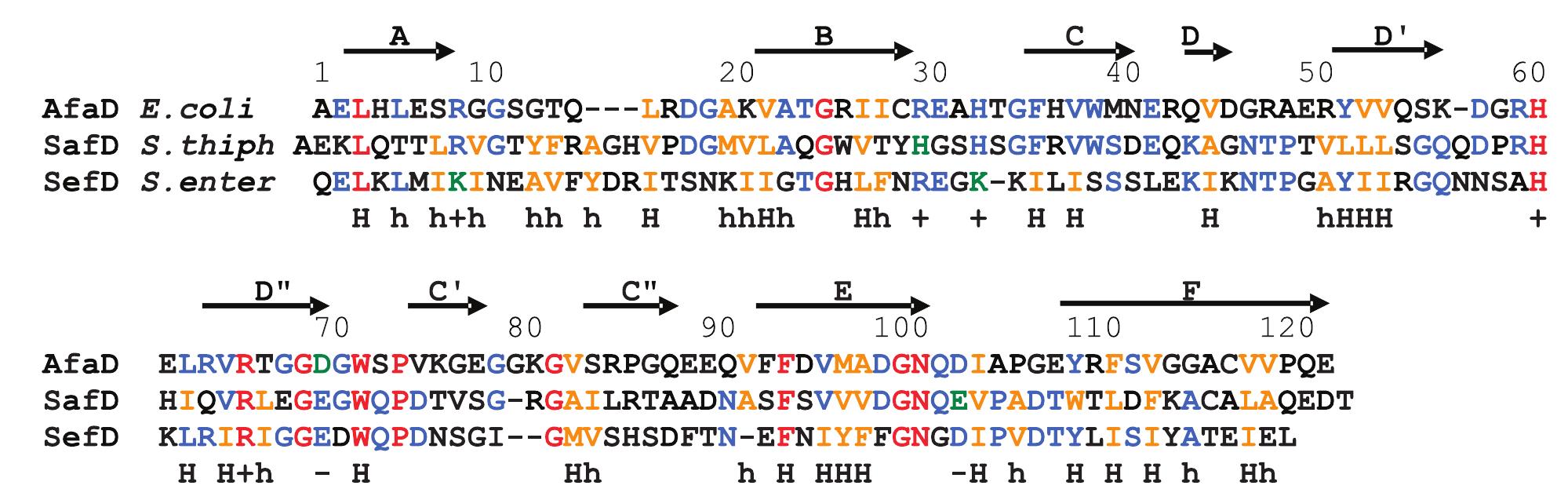 Alignment of the mature sequences of afad, safd and sefd
