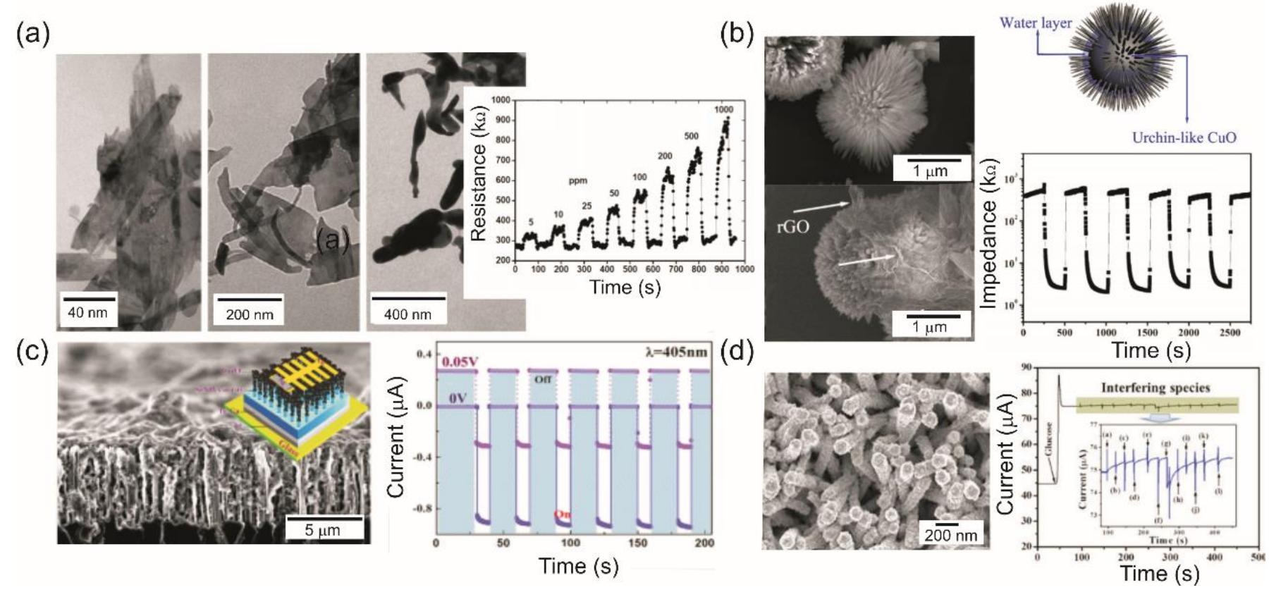 (a) tem images of cuo nanoparticles for ethanol gas sensing