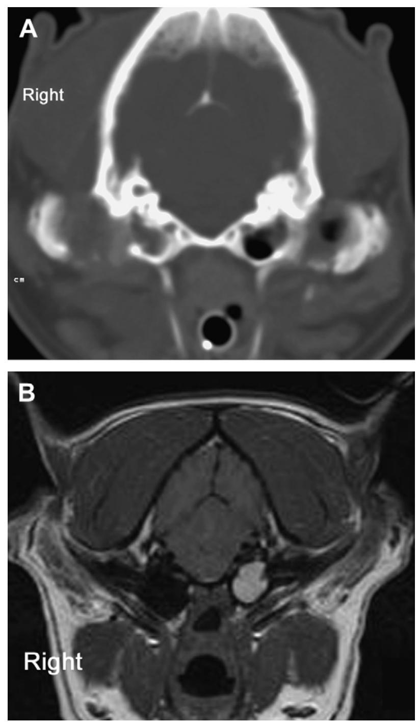 Figure 6 - Vestibular Disease in Dogs and Cats