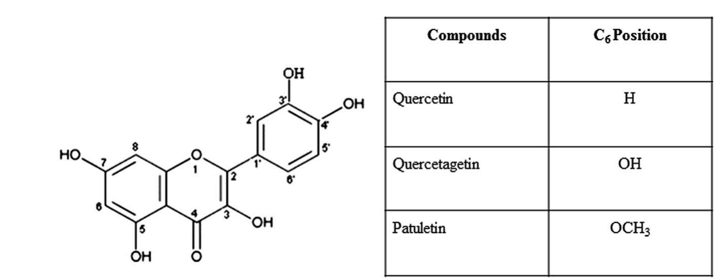 Peripheral blood smears. (a) normal control. (b) ida