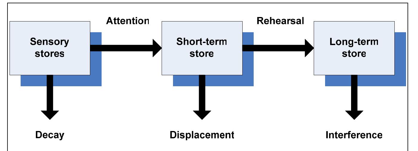 Multi-store memory model, from eysenck (2001)