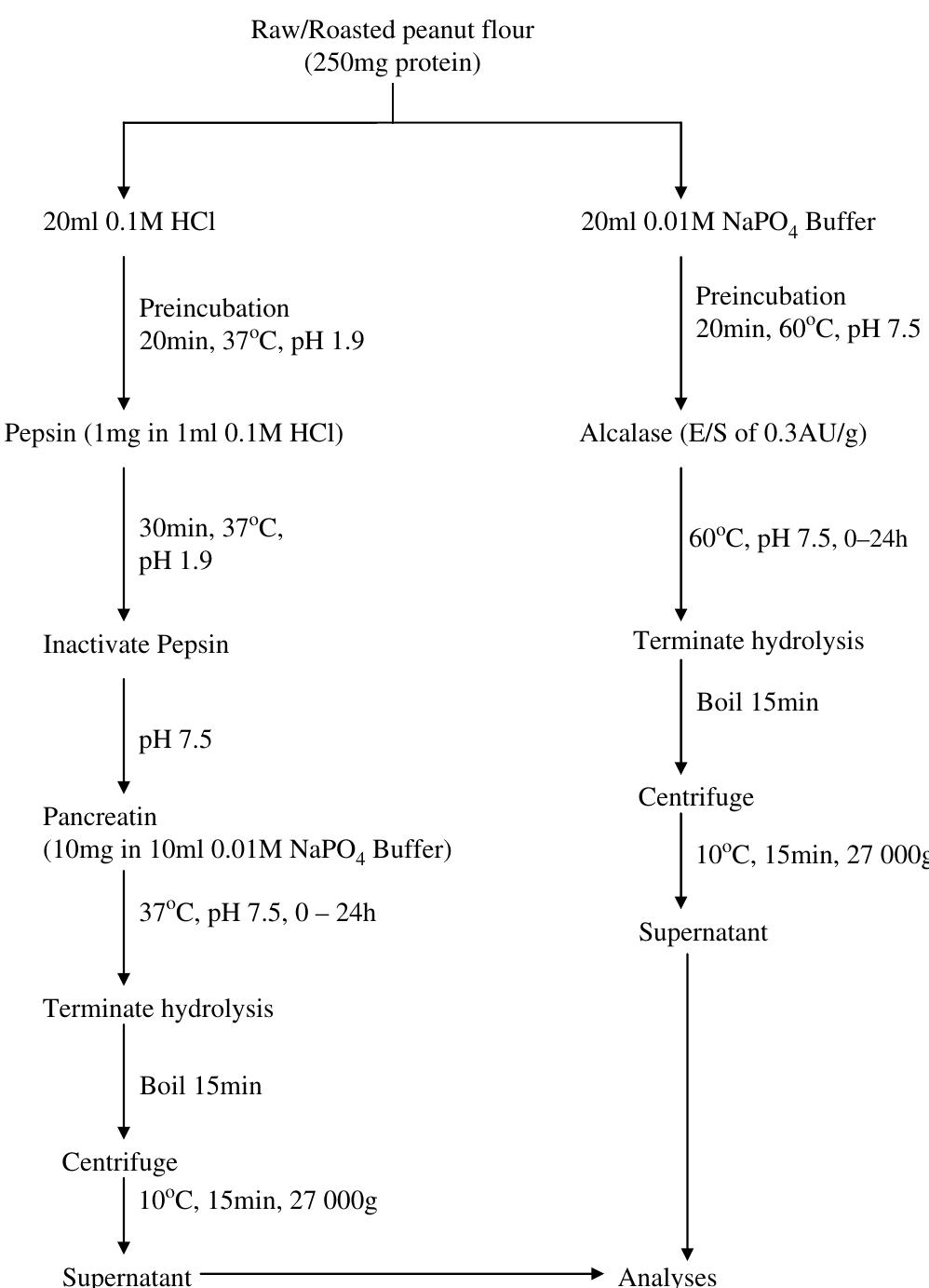Flow chart for the enzymatic hydrolysis process.