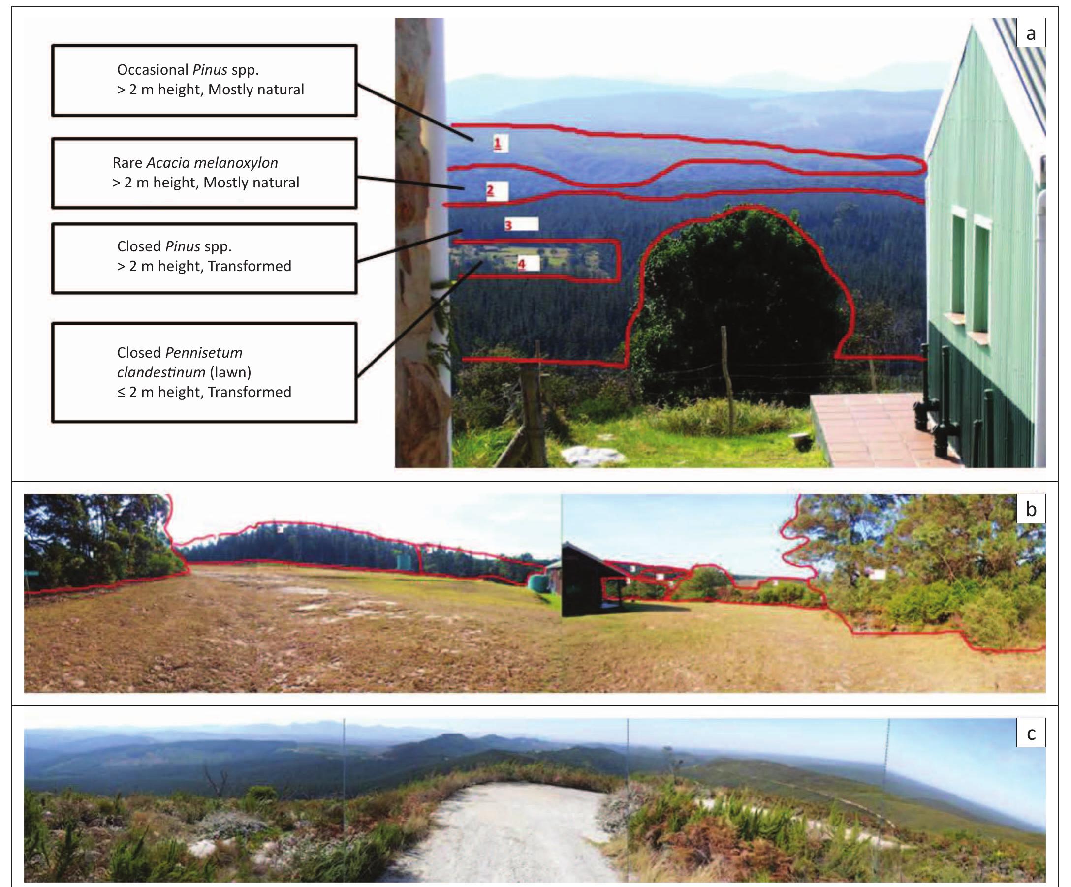 Examples of photographs shown to park visitors to determine