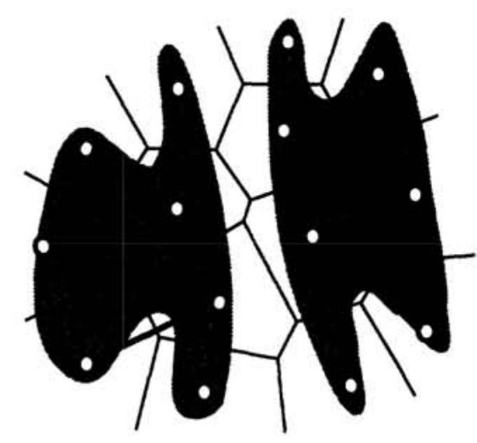 Figure 1 - A growing neural gas network learns topologies