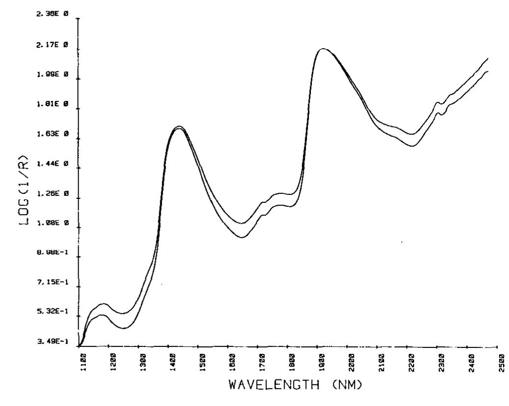 —nir reflectance scan of pork (upper) and beef (lower