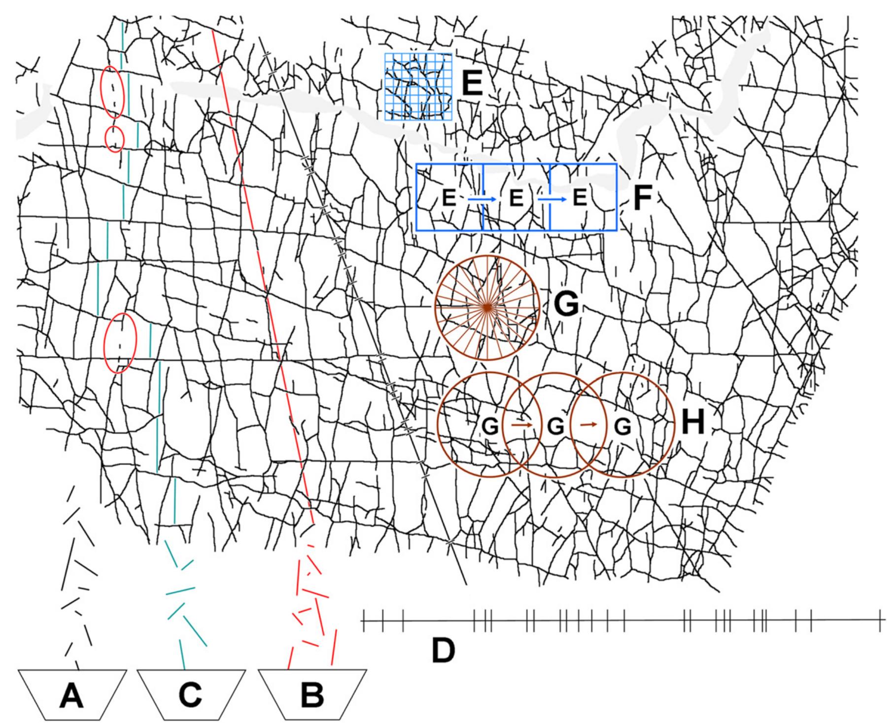 Different types of quantification of a fracture pattern by