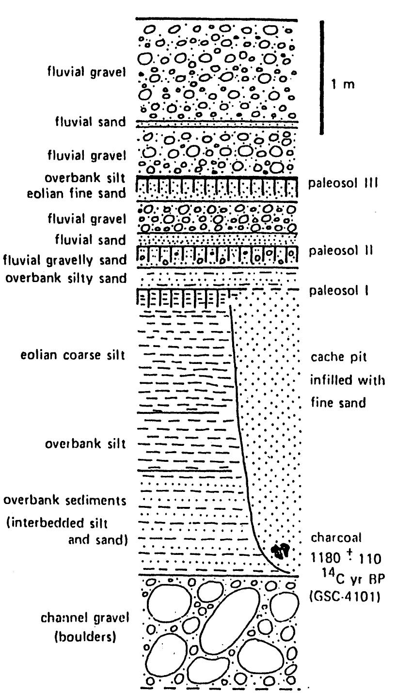 Schematic cross-section of a cache pit at the north lillooet