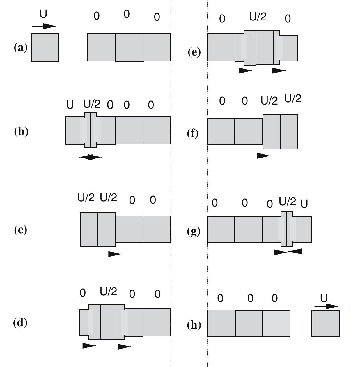 The progression of momentum through a newton’s cradle made