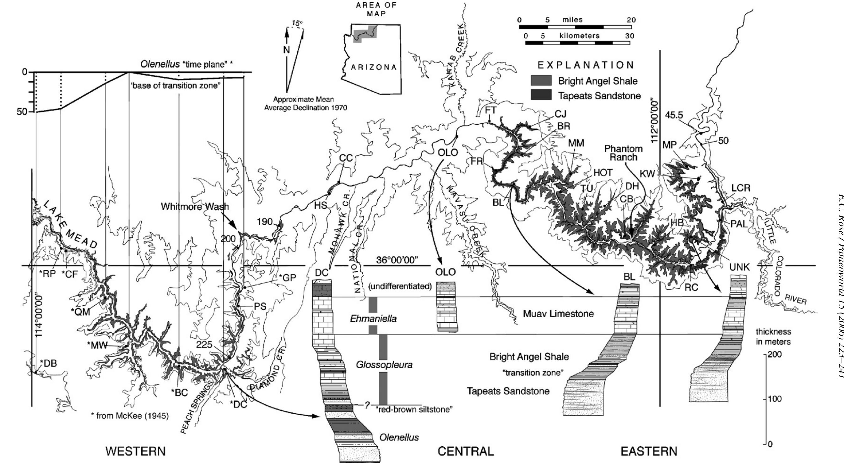 Figure 1 - from Nonmarine aspects of the Cambrian Tonto