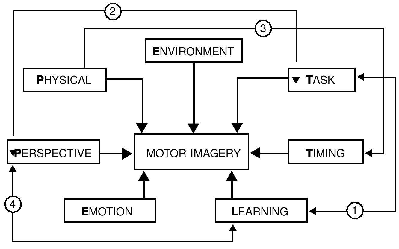 (PDF) The PETTLEP Approach to Motor Imagery: A Functional Equivalence Model for Sport Psychologists
