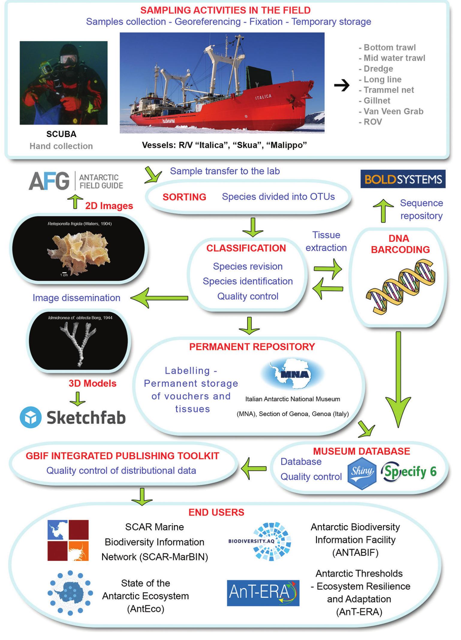 |. flowchart depicting major stages in dataset development