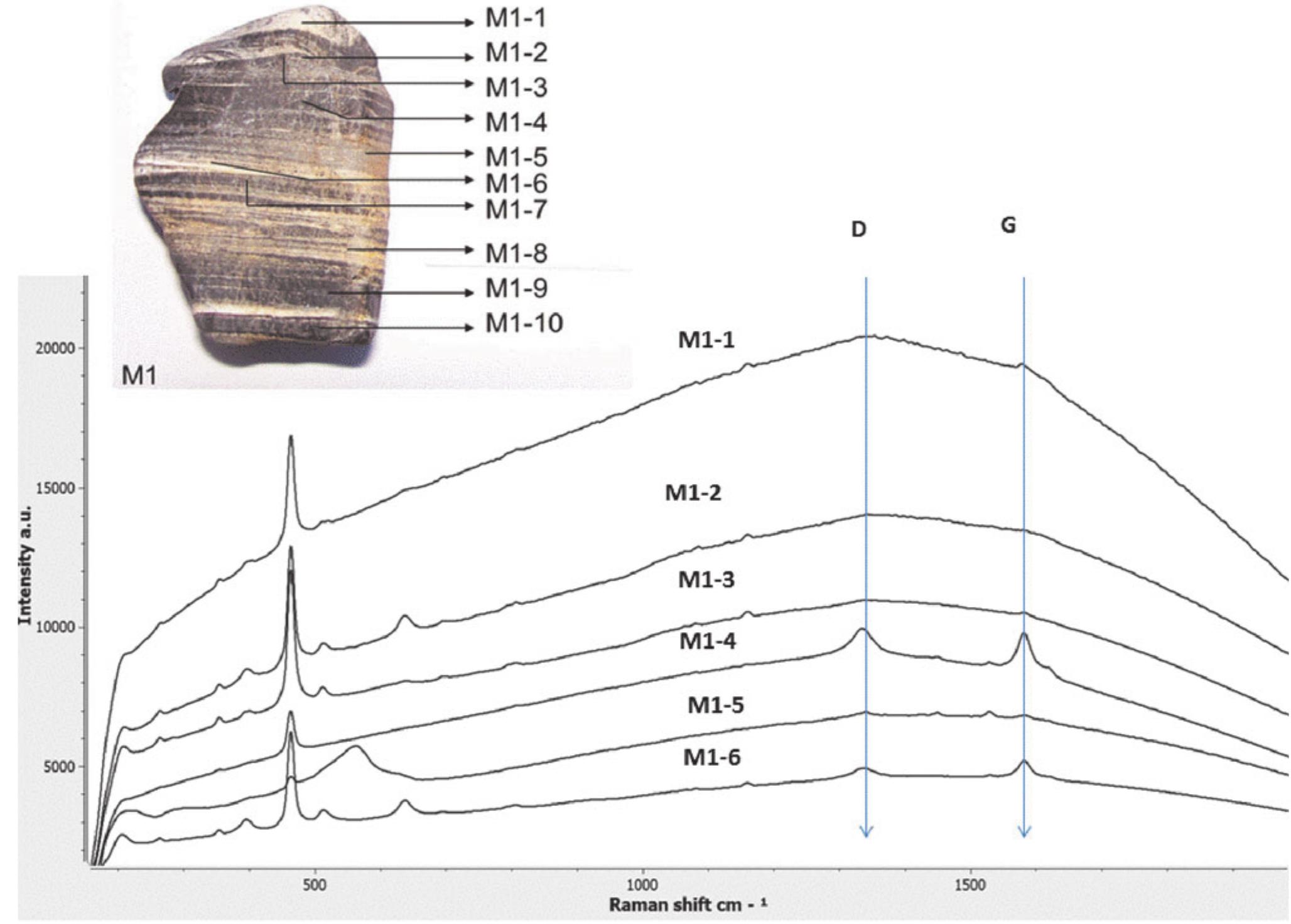 In situ raman spectra of some of the different layers