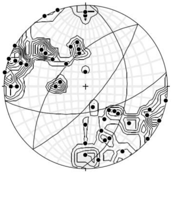 Figure 13 - Geological rock face mapping and kinematics