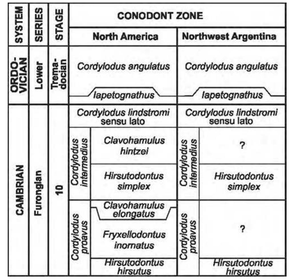 —biostratigraphic chart of the upper cambrian - lower