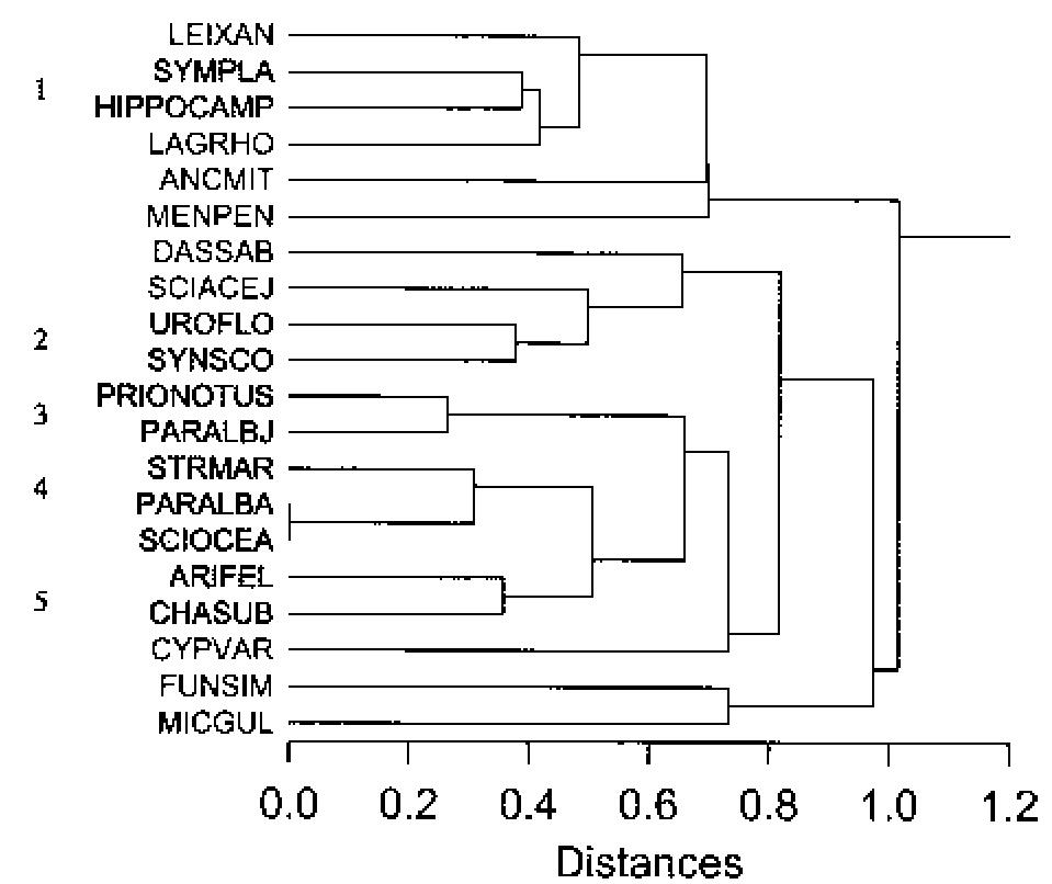 Average linakge cluster tree diagram showing the similarity