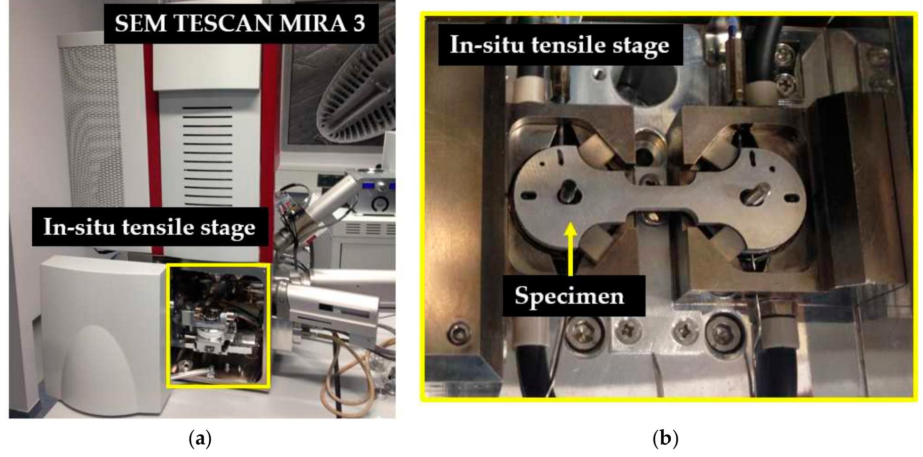 (a) sem tescan mira 3 and in situ tensile stage mt1000 made