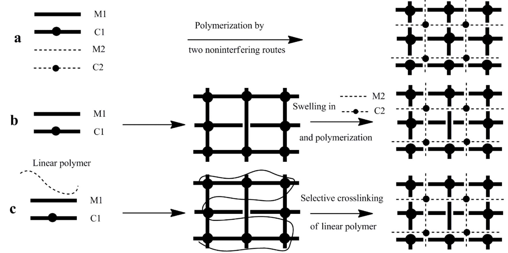 Proposed reaction mechanism of interpenetrating network