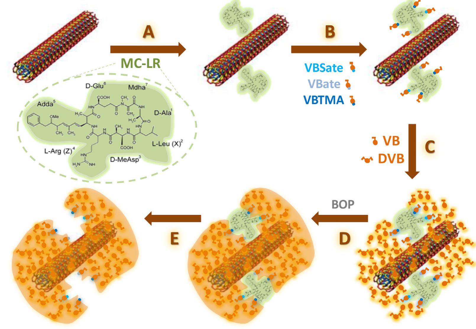 Design of the cnts ips (inset: general structure of