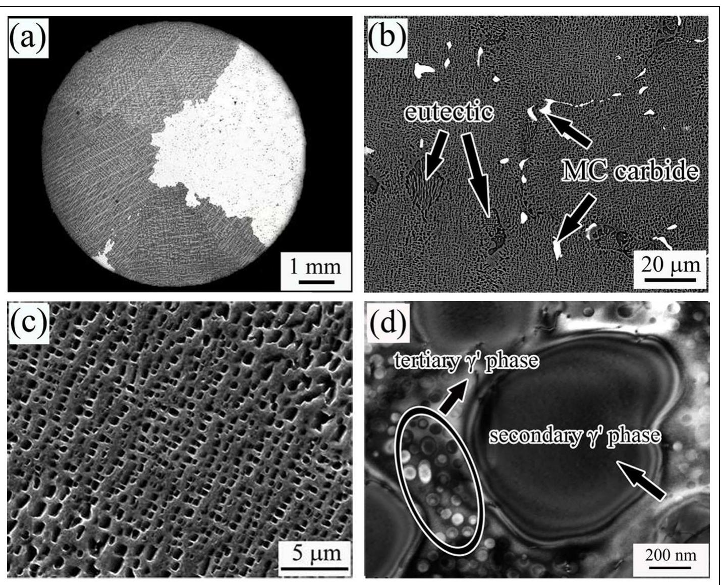 Om, sem, and tem images of grain, y/y' eutectic structure,