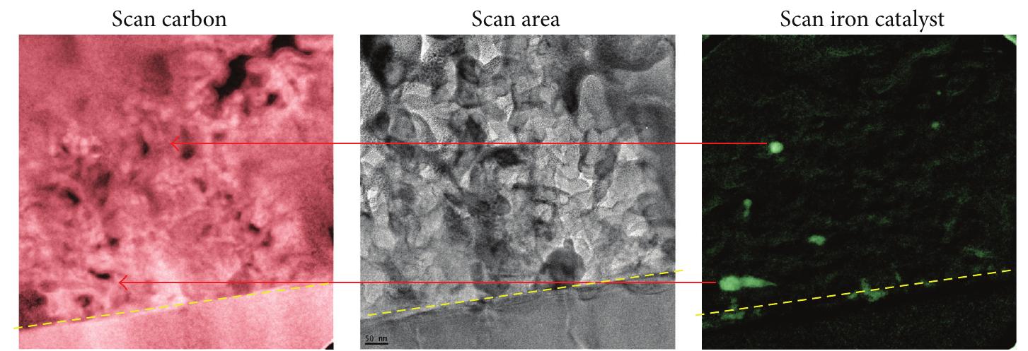 Ficure 4: cross-sectional tem image of mpe-cvd-grown cnts,