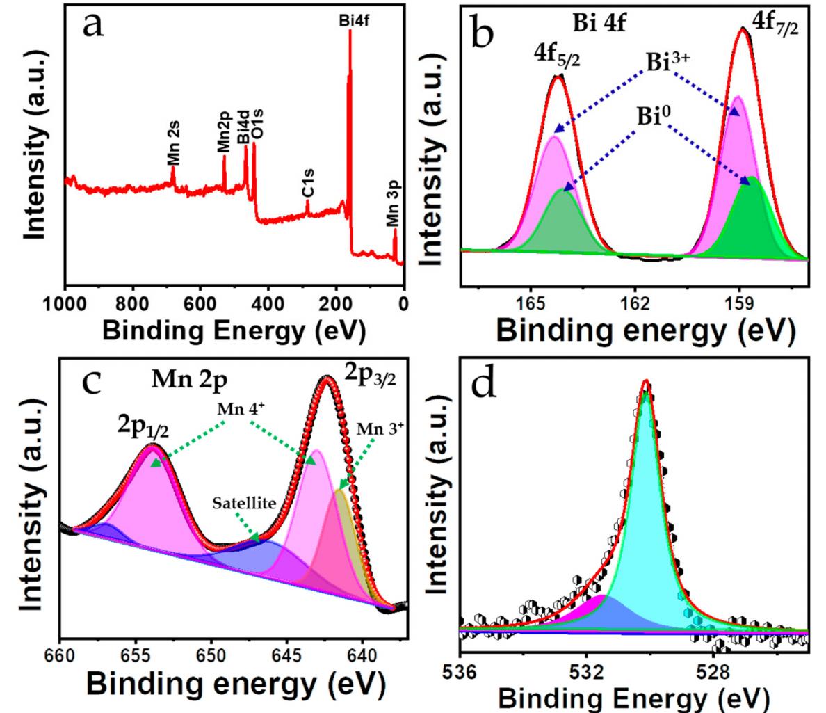 X-ray photoelectron spectroscopy (xps) analysis, (a) full