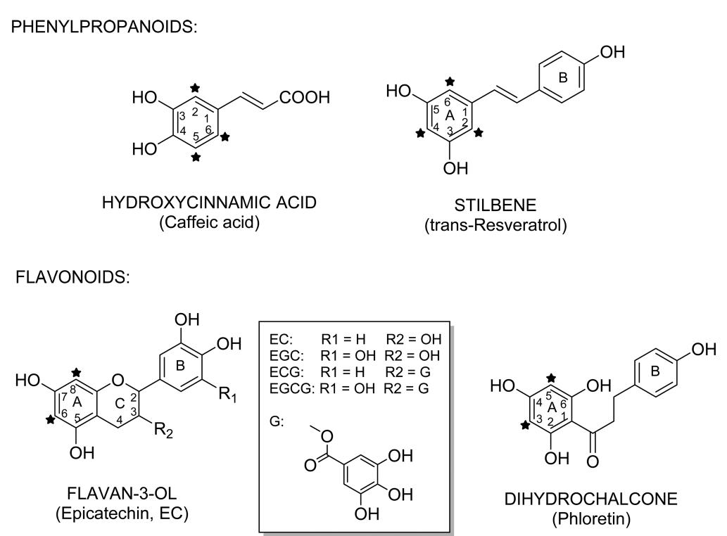 Examples of phenolic structures that have been found to trap