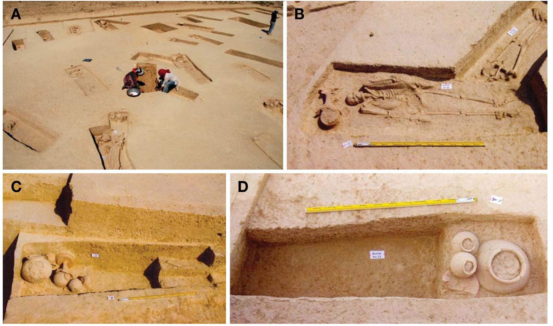 (PDF) Human Skeletal Remains from Ancient Burial Sites in India: With ...