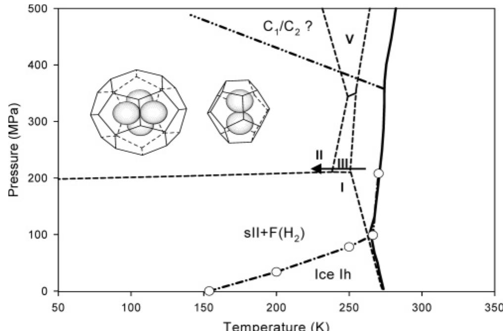 Phase diagram of the hydrogen—water system in relation to