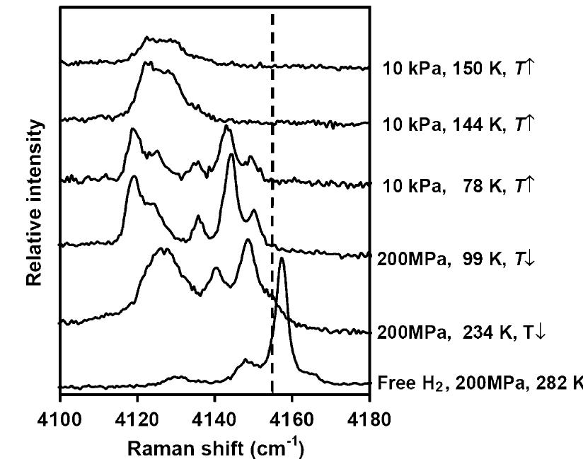 Raman spectra of hydrogen clathrate in the hydrogen vibron