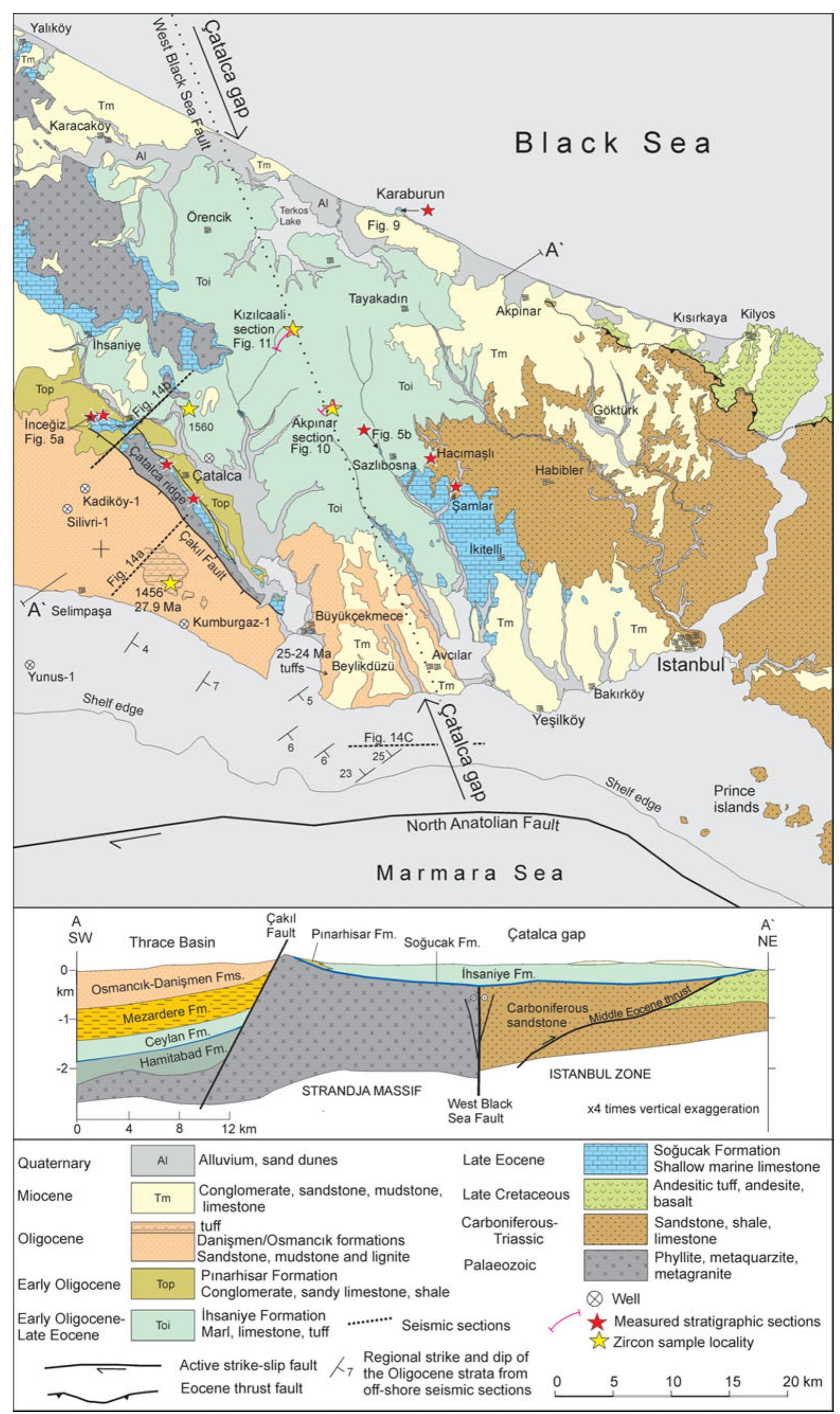 (colour online) geological map and cross-section of the