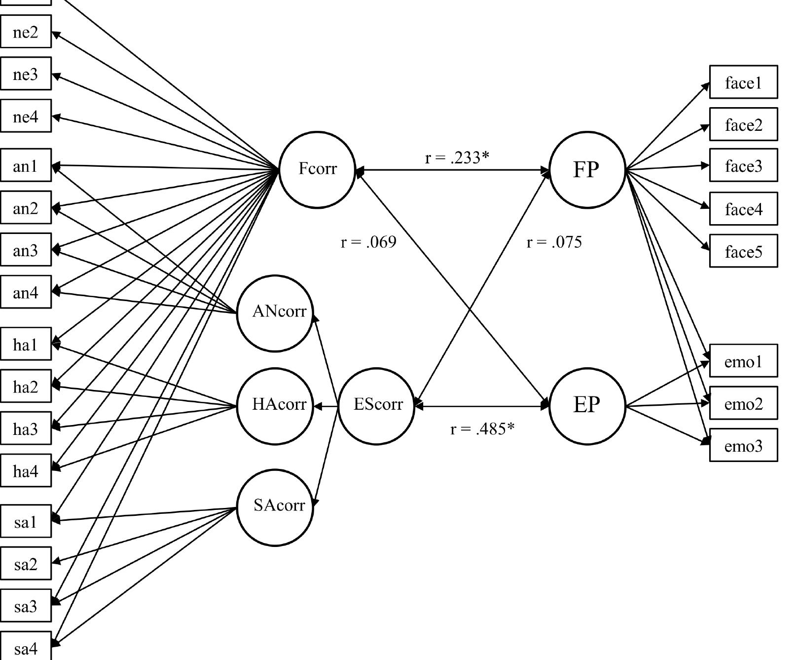 Schematic representation of the structural model of face