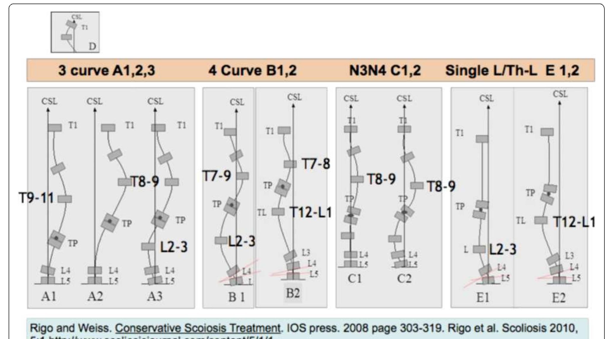 Figure 47 - from Physiotherapy scoliosis-specific exercises